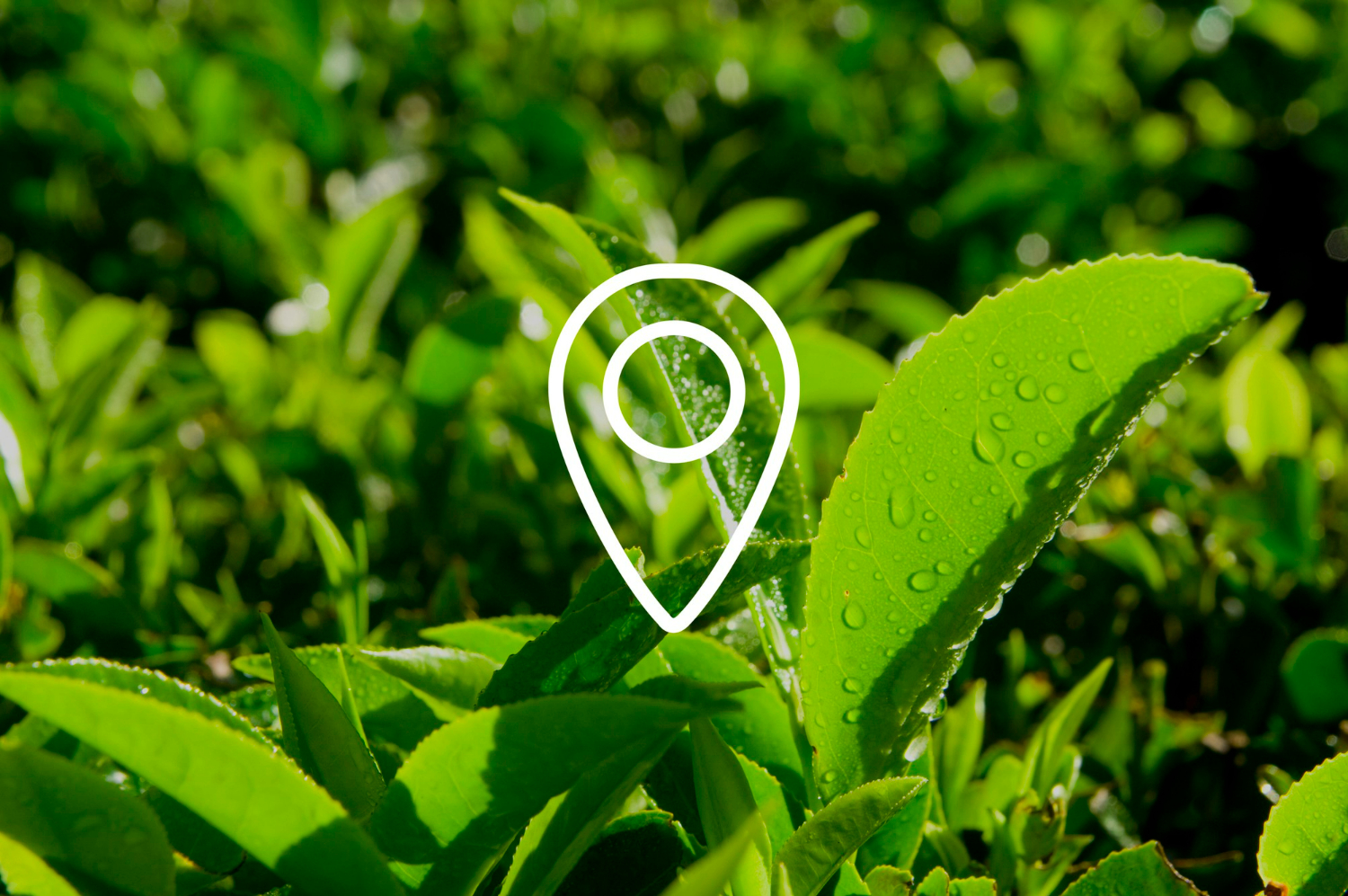 How Smart Crop Analysis Is Powering Climate-Resilient Farming