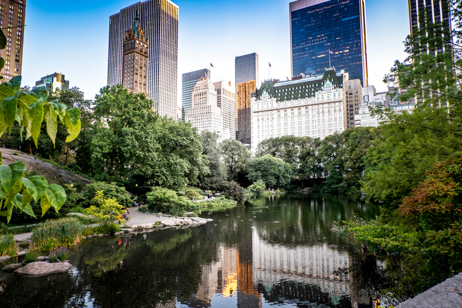 New York City Wildlife Under Pressure as Climate Stressors Alter ...