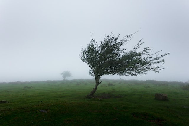 Australia’s East Coast Will Experience Wild Winds and Hail While Storms ...