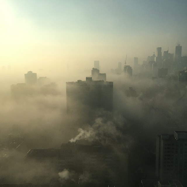 Pollution Combined With CO2 Emissions Can Raise the Societal Cost of ...