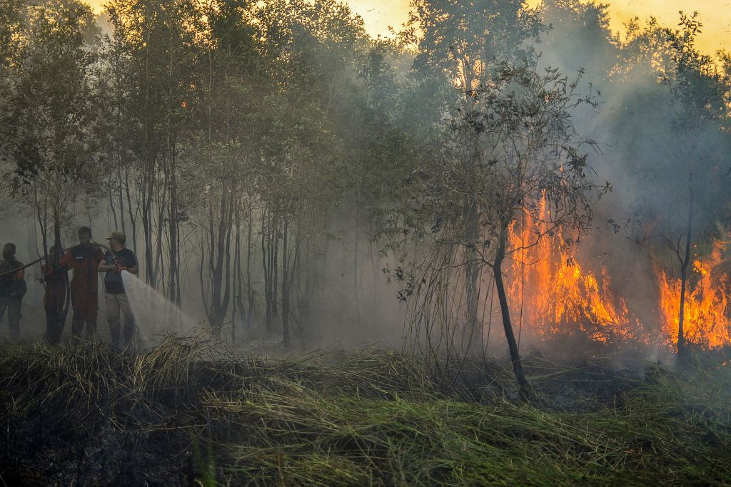 Wildfire Damage to Peatlands in the Northern Hemisphere May Result in ...