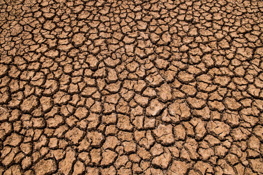 Poor Soils Can Store More Carbon by Adding Crop Residue, Study Finds