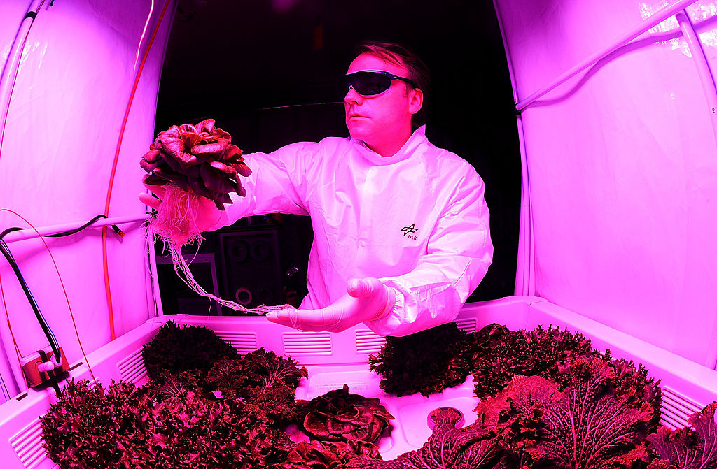 The Future of Space Food: A Deep Space Culinary Lab Is Creating ...