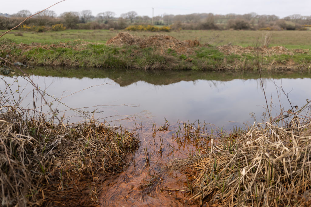 Pollution Forces Paris to Scrap Its Plan To Host the Olympic Swimming ...