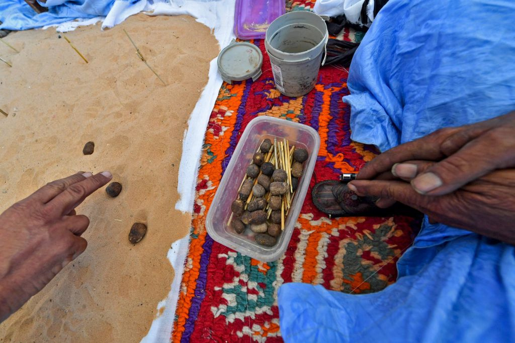 Ancient Parasites That Infested the Guts of Dinosaurs: Fossilized Feces ...