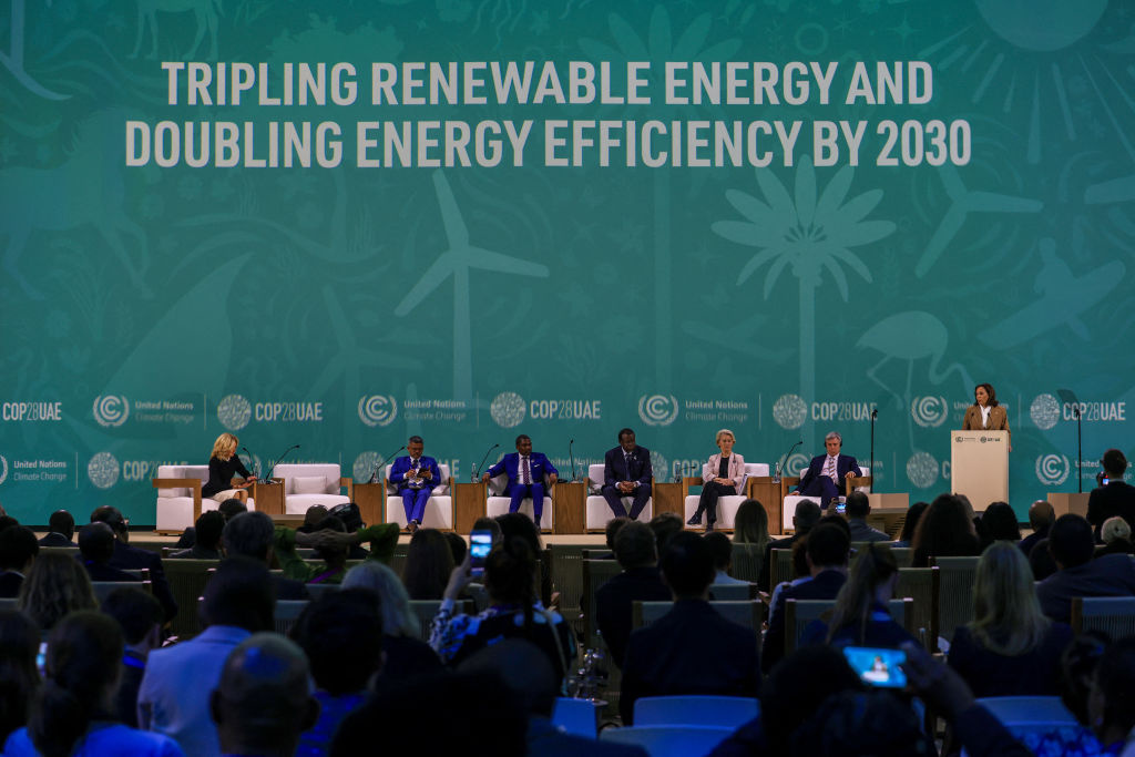 120 Nations Agree To Expand Renewable Energy Within 7 Years at COP28 ...