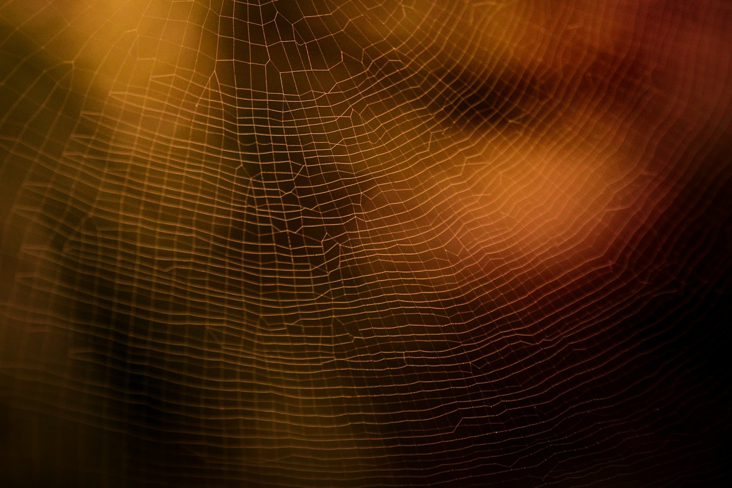 Artificial Spider Silk Made by Mimicking Natural Spinning Process
