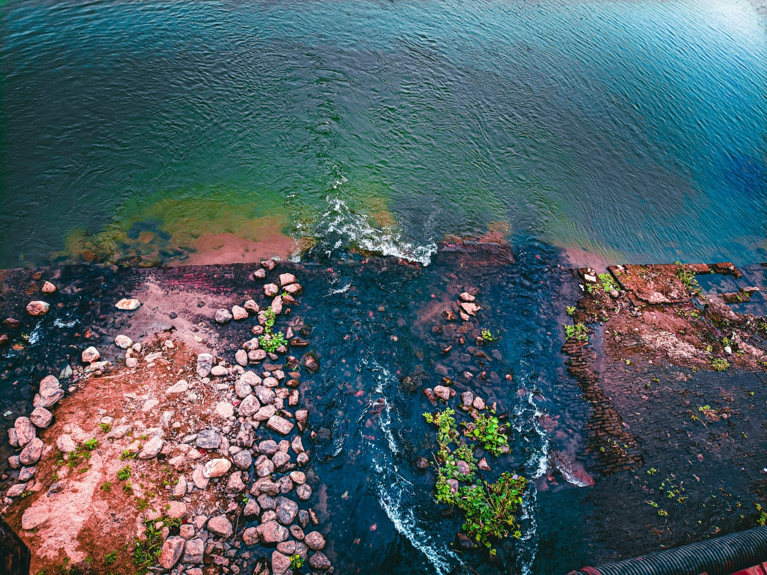 St. Lawrence River Suffers from Pharmaceutical Pollution Containing ...