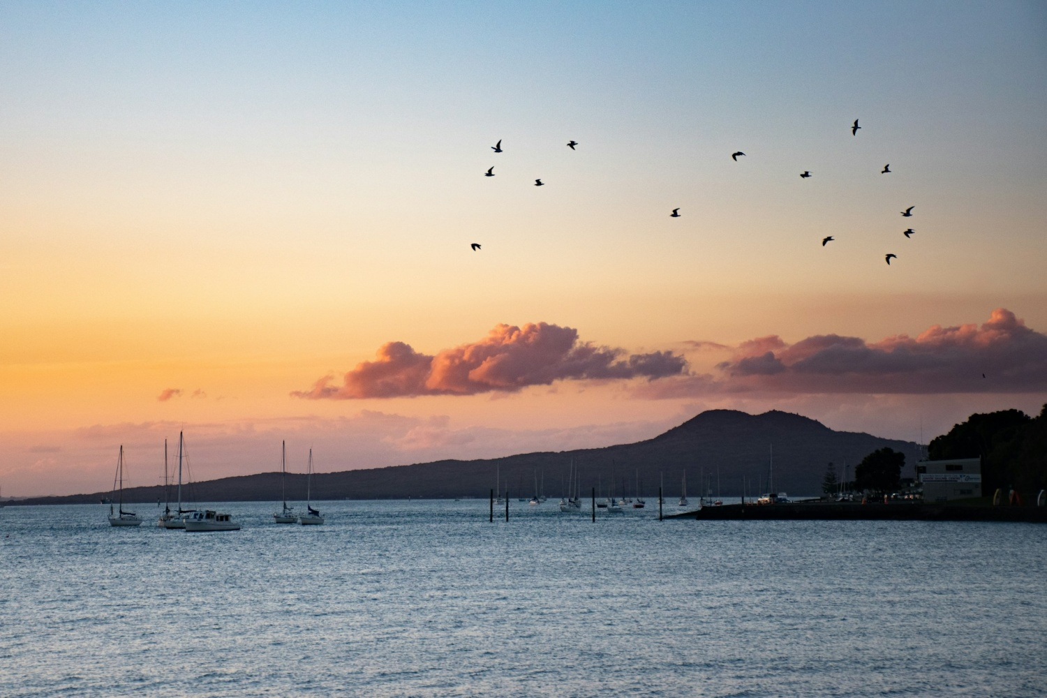 Marine Heat Waves: New Zealand’s Hauraki Gulf Region Experiences ...