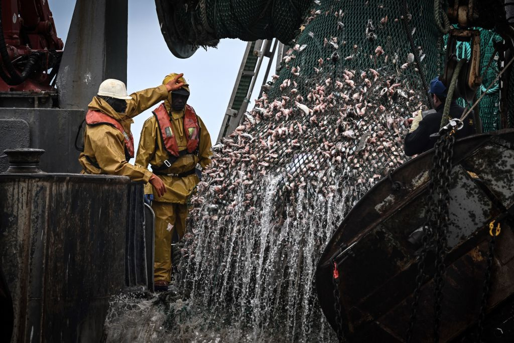 US Seaweed Farming Pioneer Builds Network for Ocean Farmers