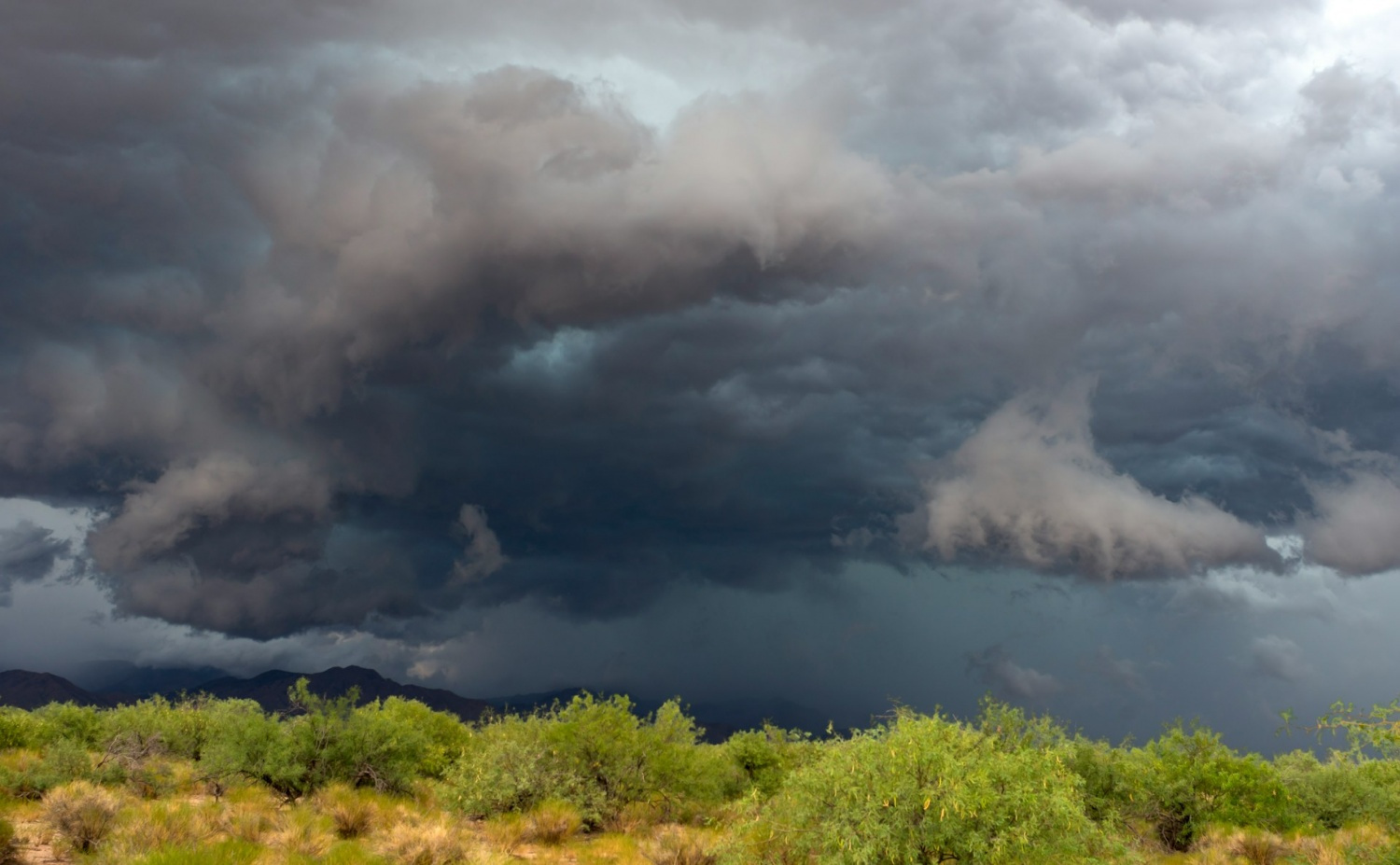 US Weather Forecast: Severe Thunderstorm, Excessive Rain to Continue ...