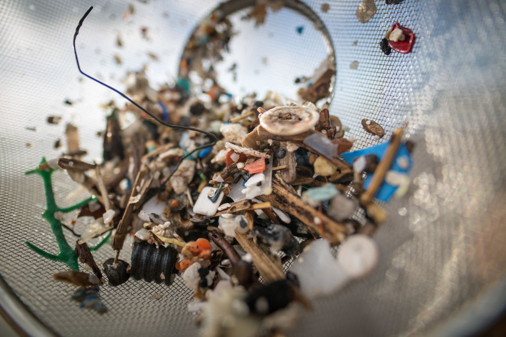 Affordable Microplastic Sensors Set to Revolutionize Environmental ...