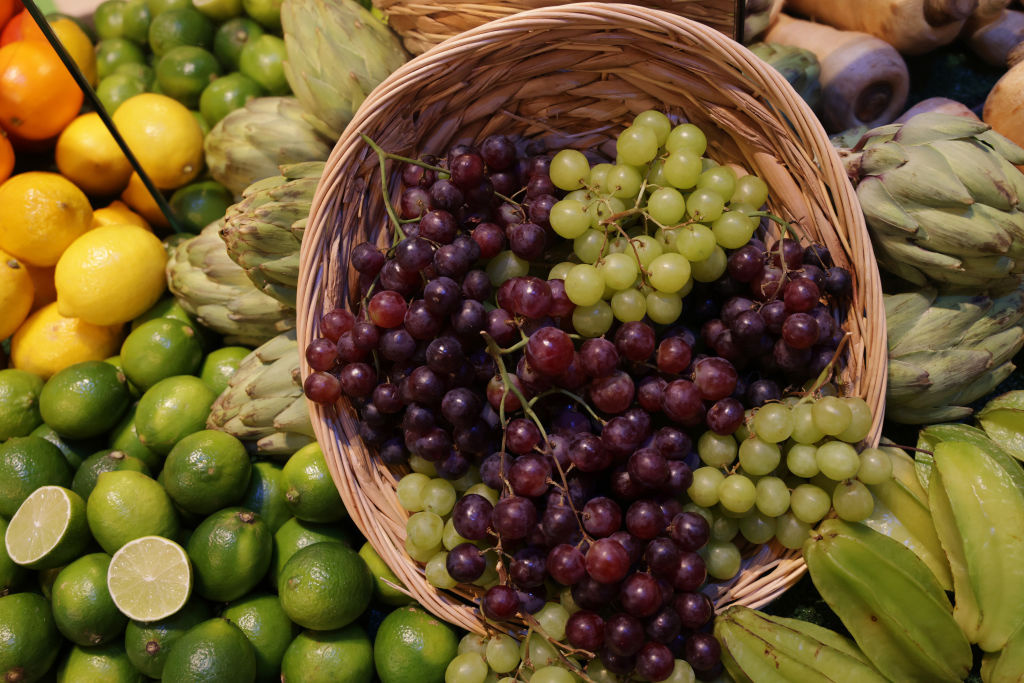 Fossilized Grape Seeds from Sixty Million Years Ago Discovered in South ...